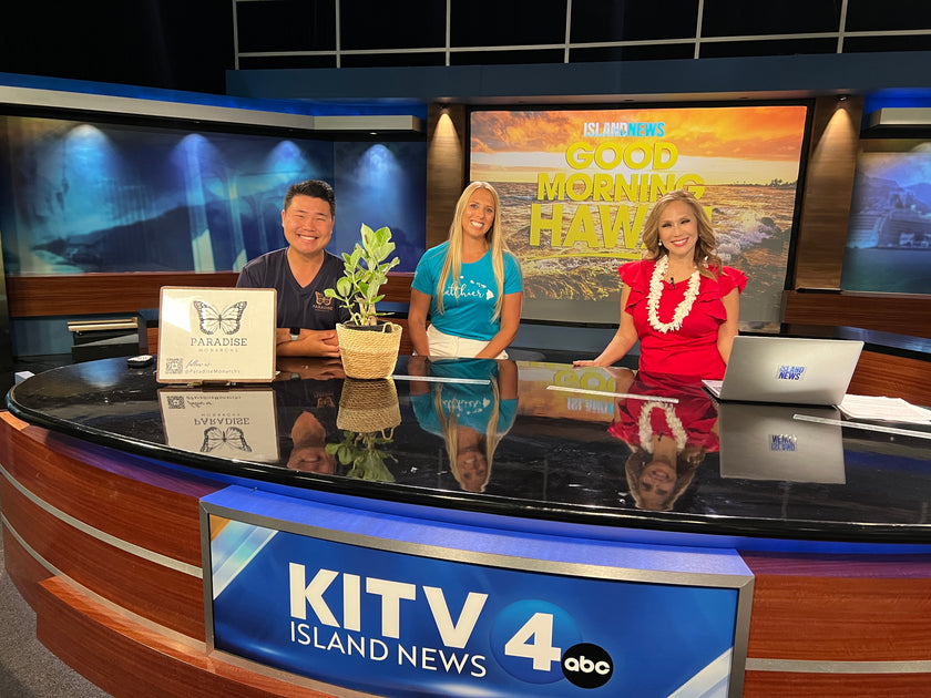 In The Press - KITV4 Island News: "Ko Olina Children's Festival Fundra – Paradise Monarchs